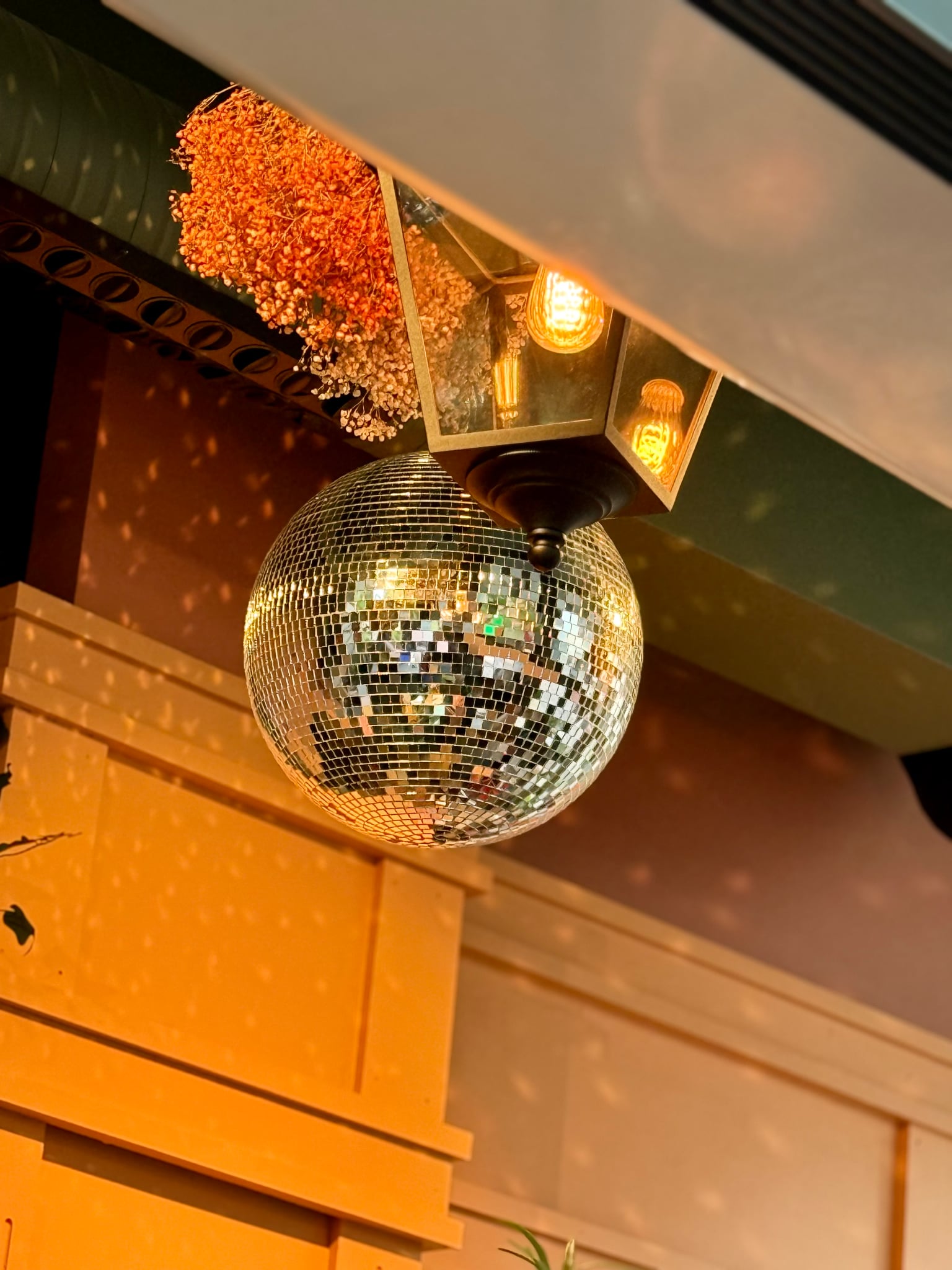 Velg mellom Entrecôte eller Pasta med Entrecôte + en enhet hos Haus di ...