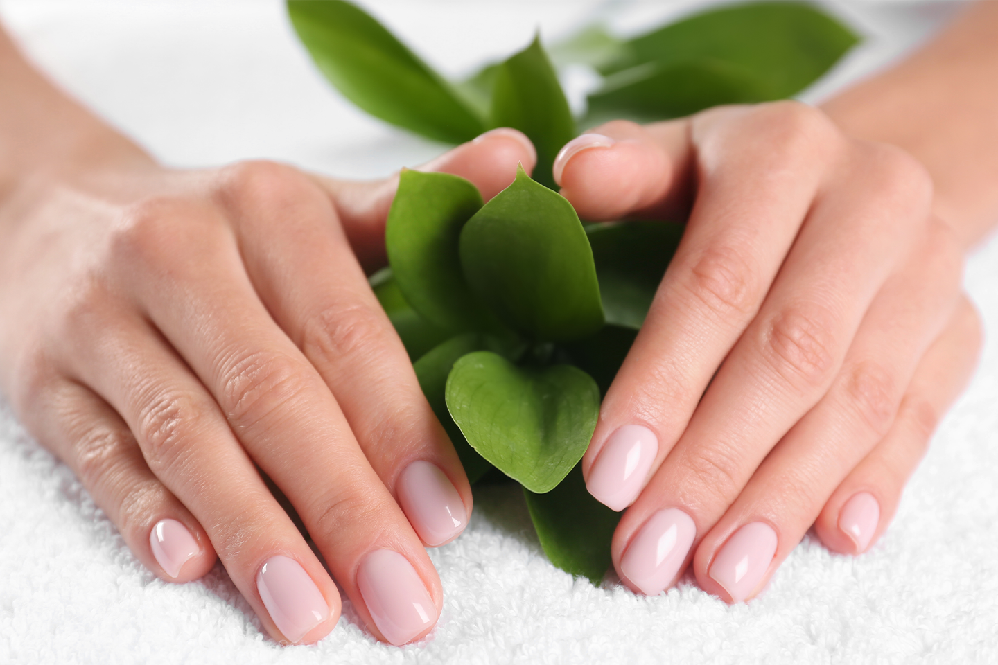 Velg mellom flere Manikyr-behandlinger hos IV Beauty | Let's deal