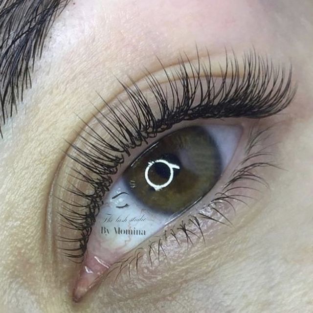 Vippeløft med eller uten farge hos The Lash Studio | Let's deal